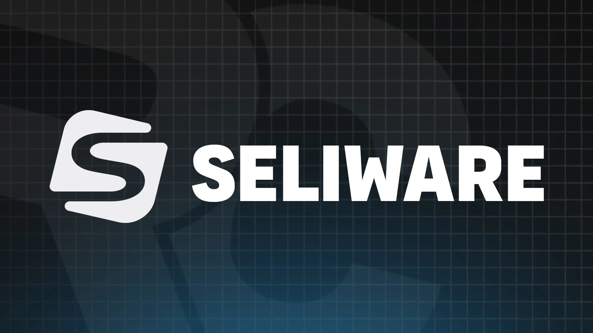 Seliware Executor - SerenityTube Store – Digital Game Enhancement ...